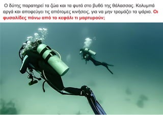 Η αναπνοή | PDF