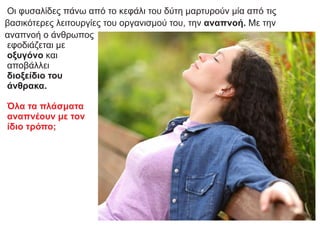 Η αναπνοή | PDF