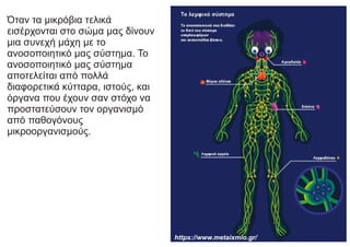 Προστασία από τα μικρόβια | PDF