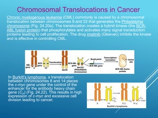 بدر الشهاري.ppt