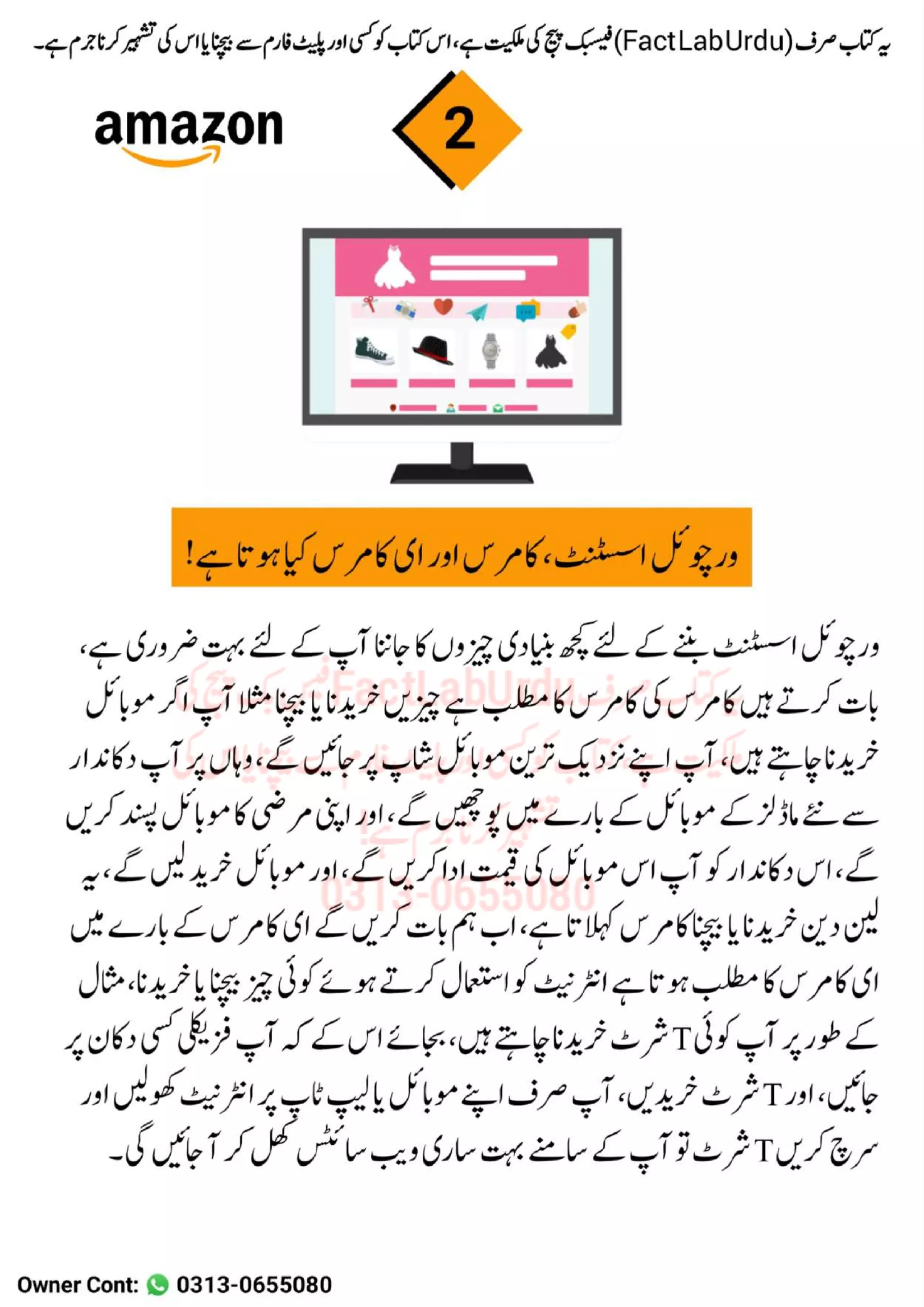 Amazon Virtual Assistant | PDF