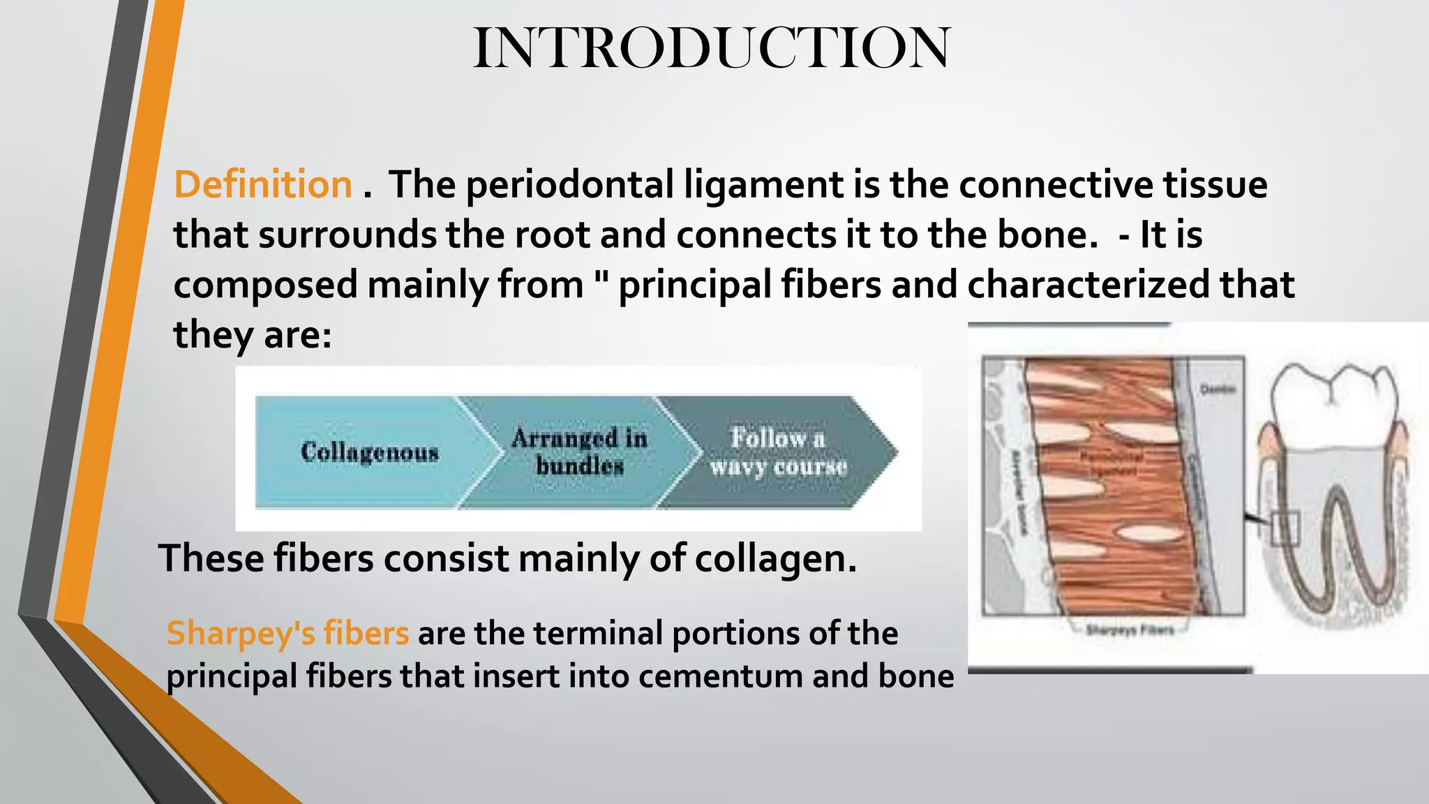periodontal ligaments | PPT