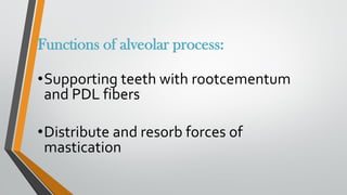 periodontal ligaments | PPT