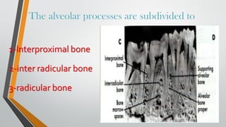 periodontal ligaments | PPT