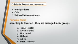 periodontal ligaments | PPT