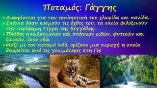 ΕΡΓΑΣΙΑ ΓΕΩΓΡΑΦΙΑΣ.pptx