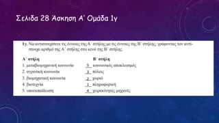 Ασκησεις εμπεδωσης.pptx