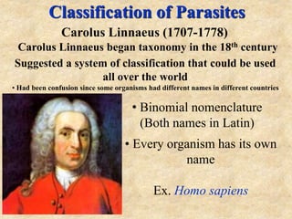 المحاضرة الأولى بروتوزوا .pptx