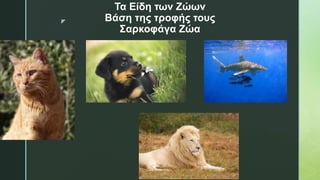 Είδη ζώων.pptx
