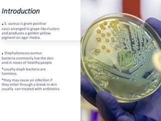 MRSA | PDF