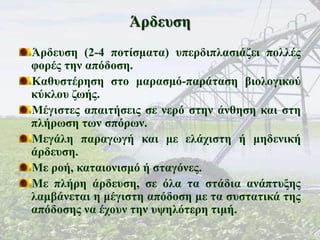 Παρουσίαση Μεταπτυχιακής Διατριβής: αύξηση κι ανάπτυξη του ηλίανθου σε ...