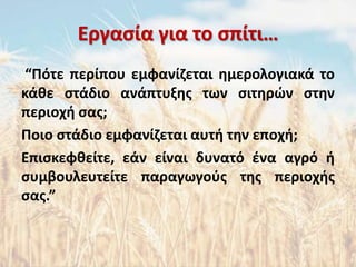Σταγκούδης Χρυσοβαλάντης- Παρουσίαση ΠΑΔ- Β' ΕΠΑΛ- Τα στάδια ανάπτυξης ...