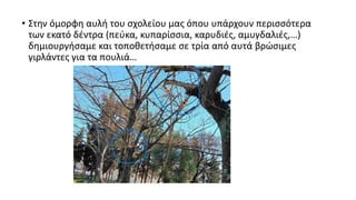 Δεντρολιχουδιές για ζώα και πουλιά!!.pptx