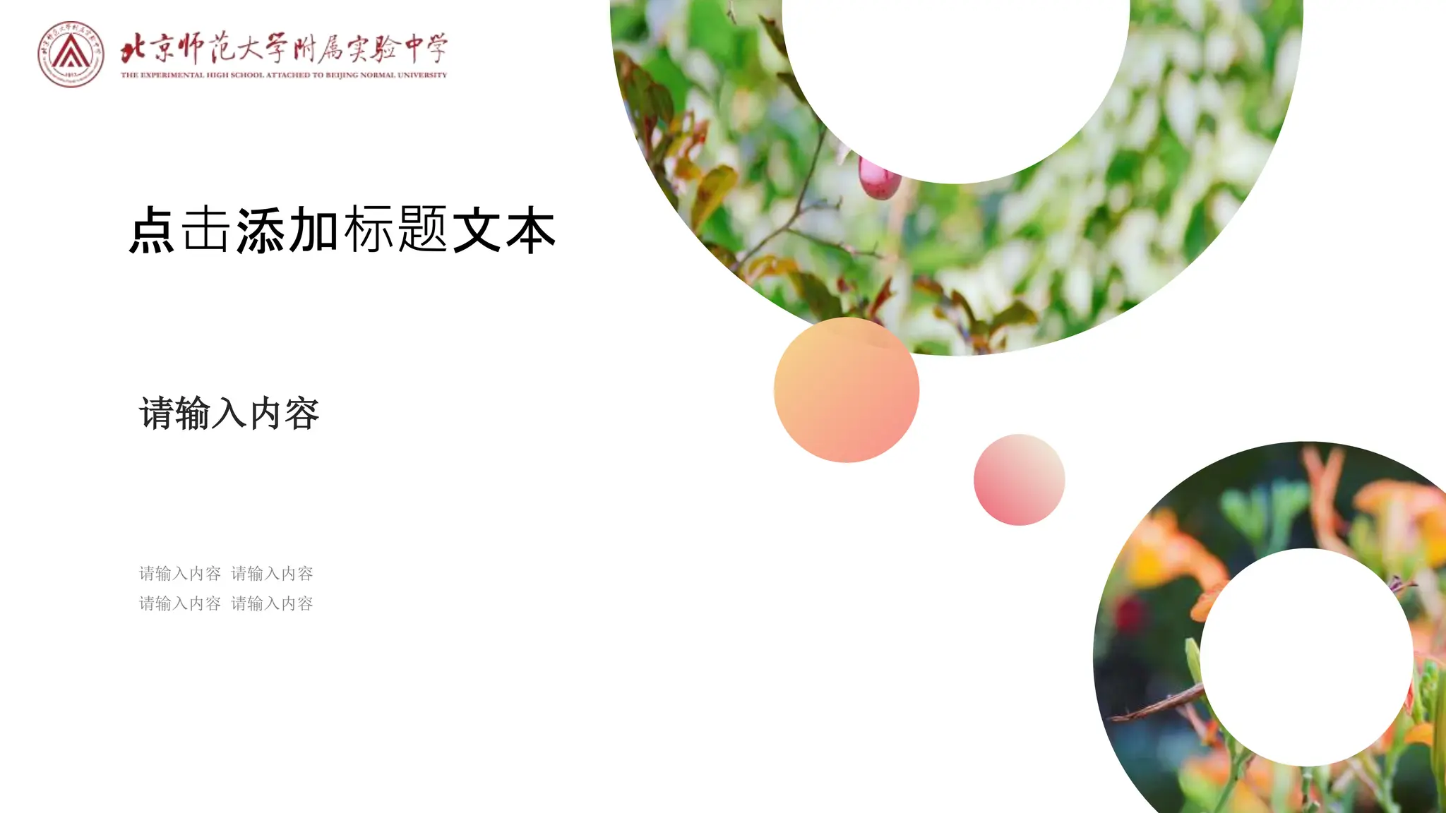 TI-Nspire_Guidebook.pdfTI-Nspire_Guidebook.pdfTI-Nspire_Guidebook.pdf | Telecommunications ...