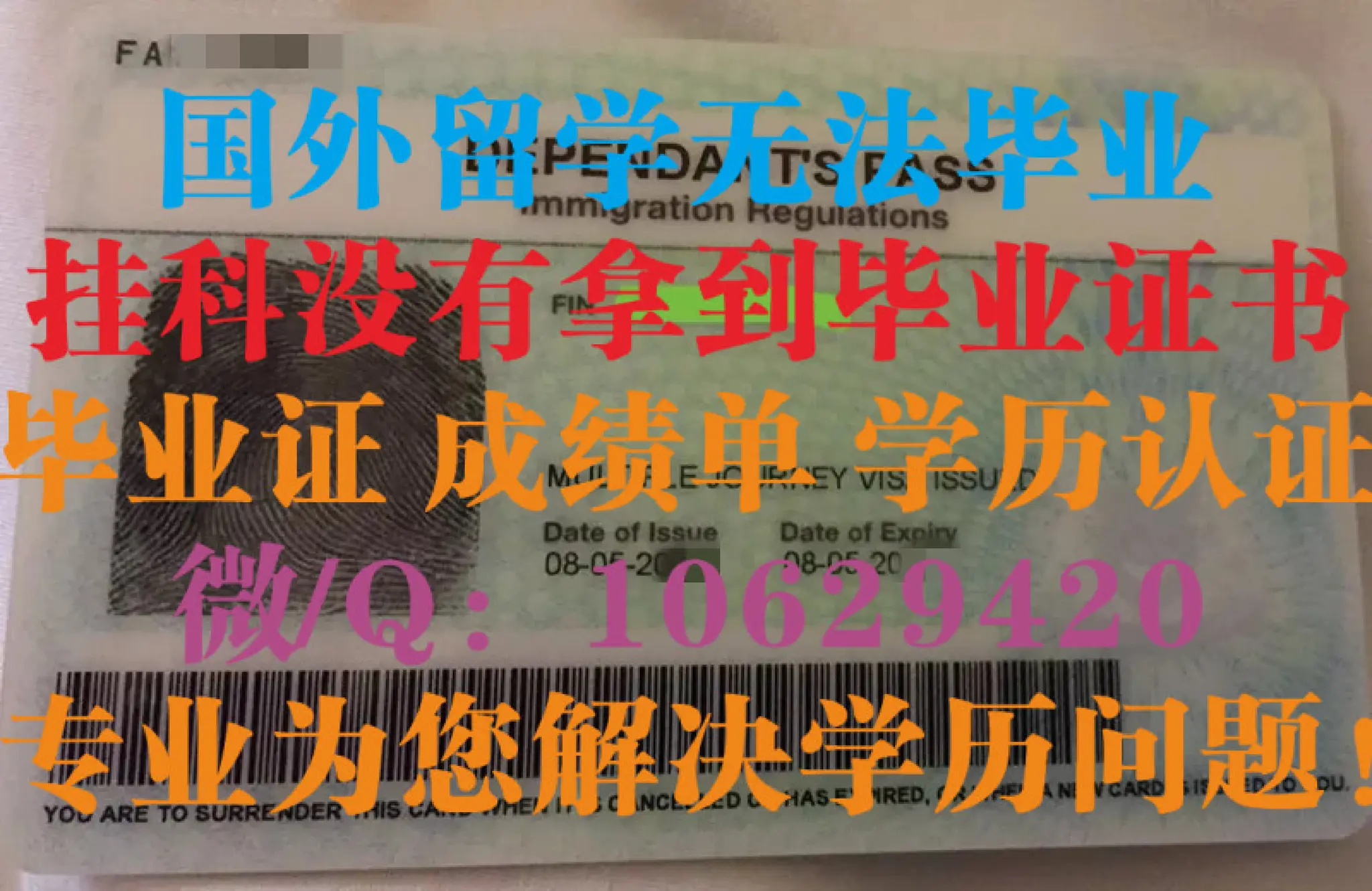 办理新加坡长期访问签证 LTVP | PDF