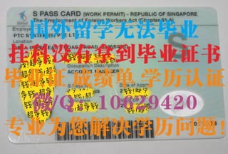 办理新加坡长期访问签证 LTVP | PDF