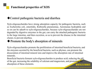 Jianyihong_xylo-oligosacchride_2024.1.12