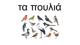 οι λεξεις με το ου με εικονες για την α δημοτικου | PPT