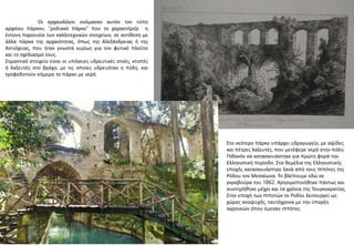 ΑΠΟΚΑΤΑΣΤΑΣΗ ΚΑΙ ΕΠΕΚΤΑΣΗ ΠΑΡΚΟΥ ΡΟΔΙΝΙ.pptx