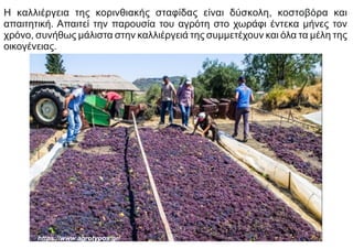 Πολιτιστική Κληρονομιά και Επαγγέλματα | PPT