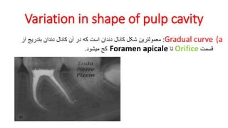 Dental anatomy of medical for students.Pdf