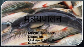 Fish Culture in hindi or मत्स्यपालन.pptx