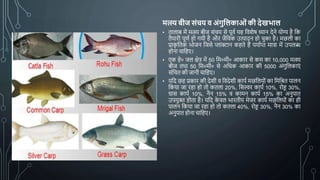 Fish Culture in hindi or मत्स्यपालन.pptx