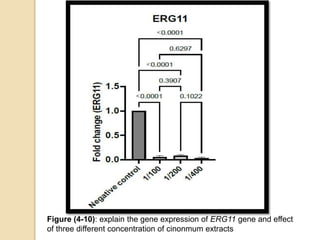 farah thesis for candida albicans pothogenesis | PPTX