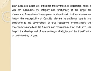 farah thesis for candida albicans pothogenesis | PPTX