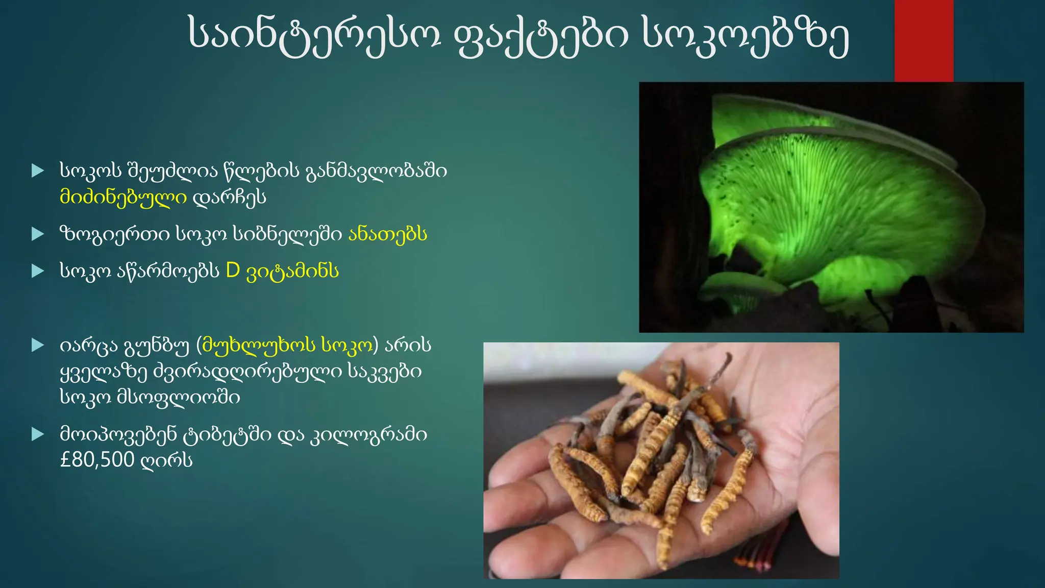 interesting presentation about mushrooms.pptx