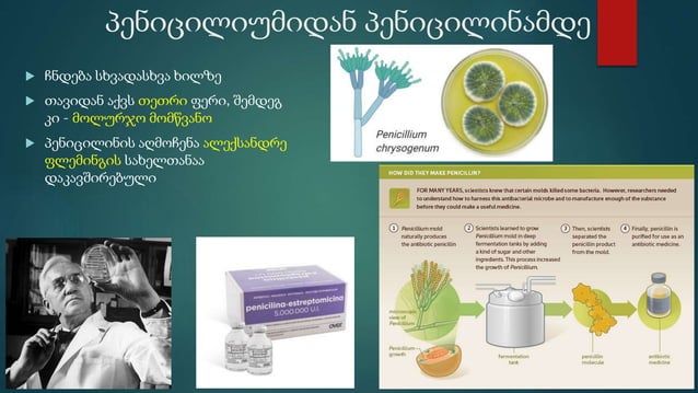 interesting presentation about mushrooms.pptx