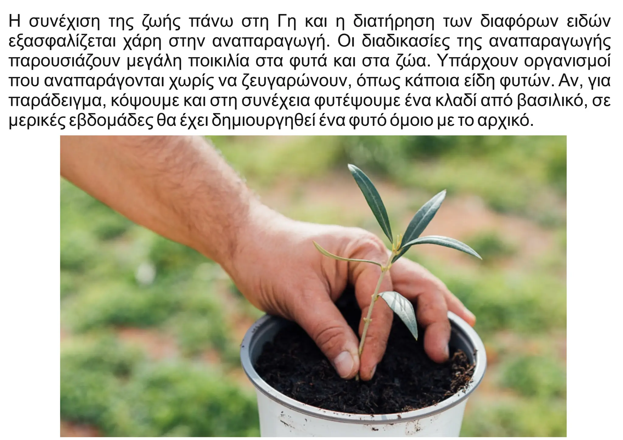 Το αναπαραγωγικό σύστημα του άνδρα...... | PDF