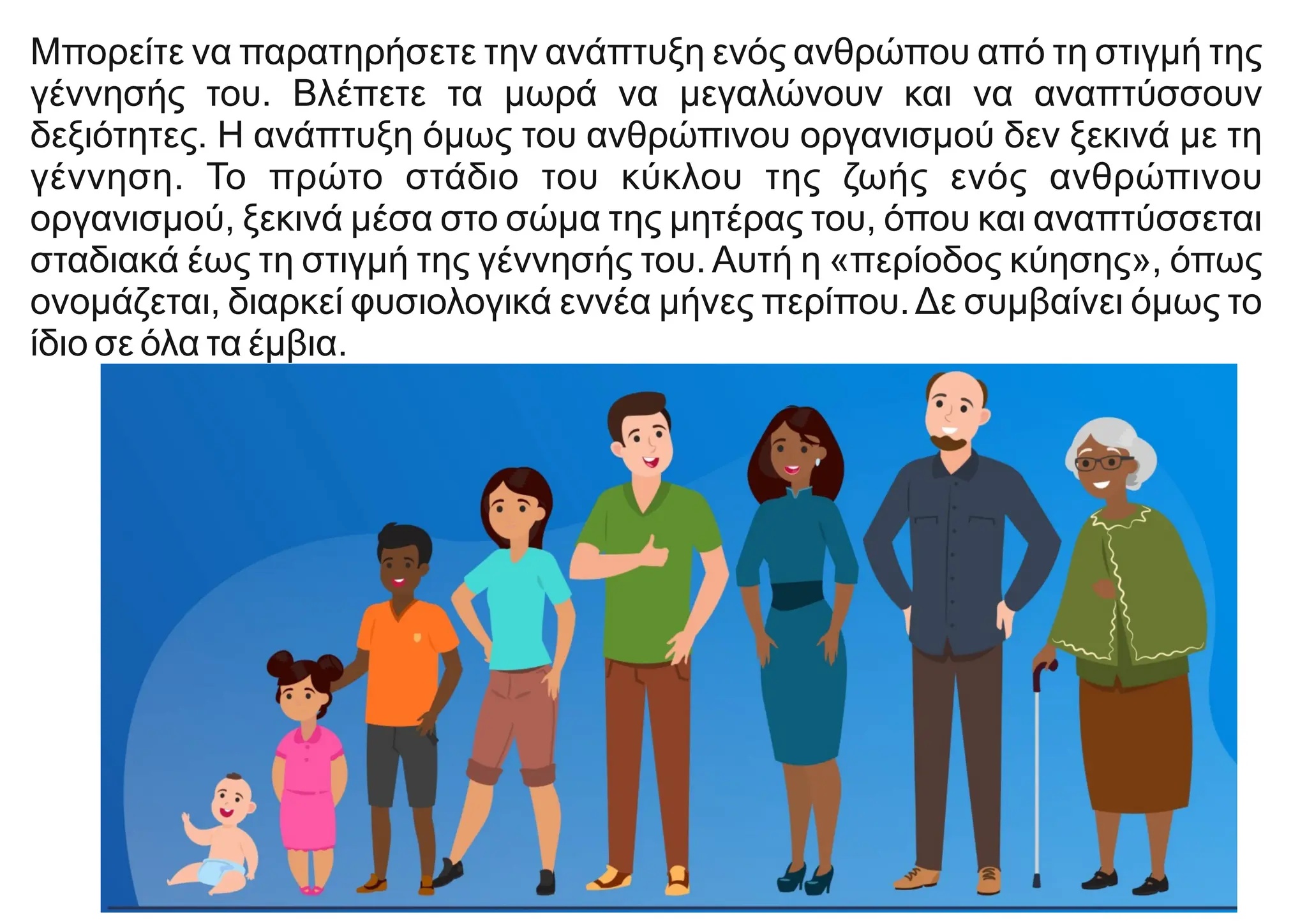 Το αναπαραγωγικό σύστημα του άνδρα...... | PDF