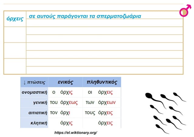 Το αναπαραγωγικό σύστημα του άνδρα...... | PDF