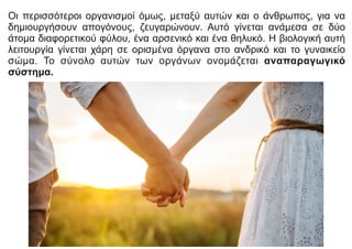 Το αναπαραγωγικό σύστημα του άνδρα...... | PDF