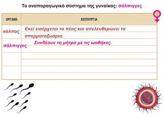 Το αναπαραγωγικό σύστημα της ΓΥΝΑΙΚΑΣ | PDF