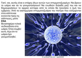 Το αναπαραγωγικό σύστημα της ΓΥΝΑΙΚΑΣ | PDF