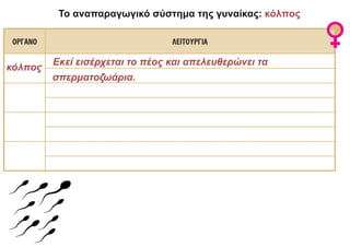 Το αναπαραγωγικό σύστημα της ΓΥΝΑΙΚΑΣ | PDF