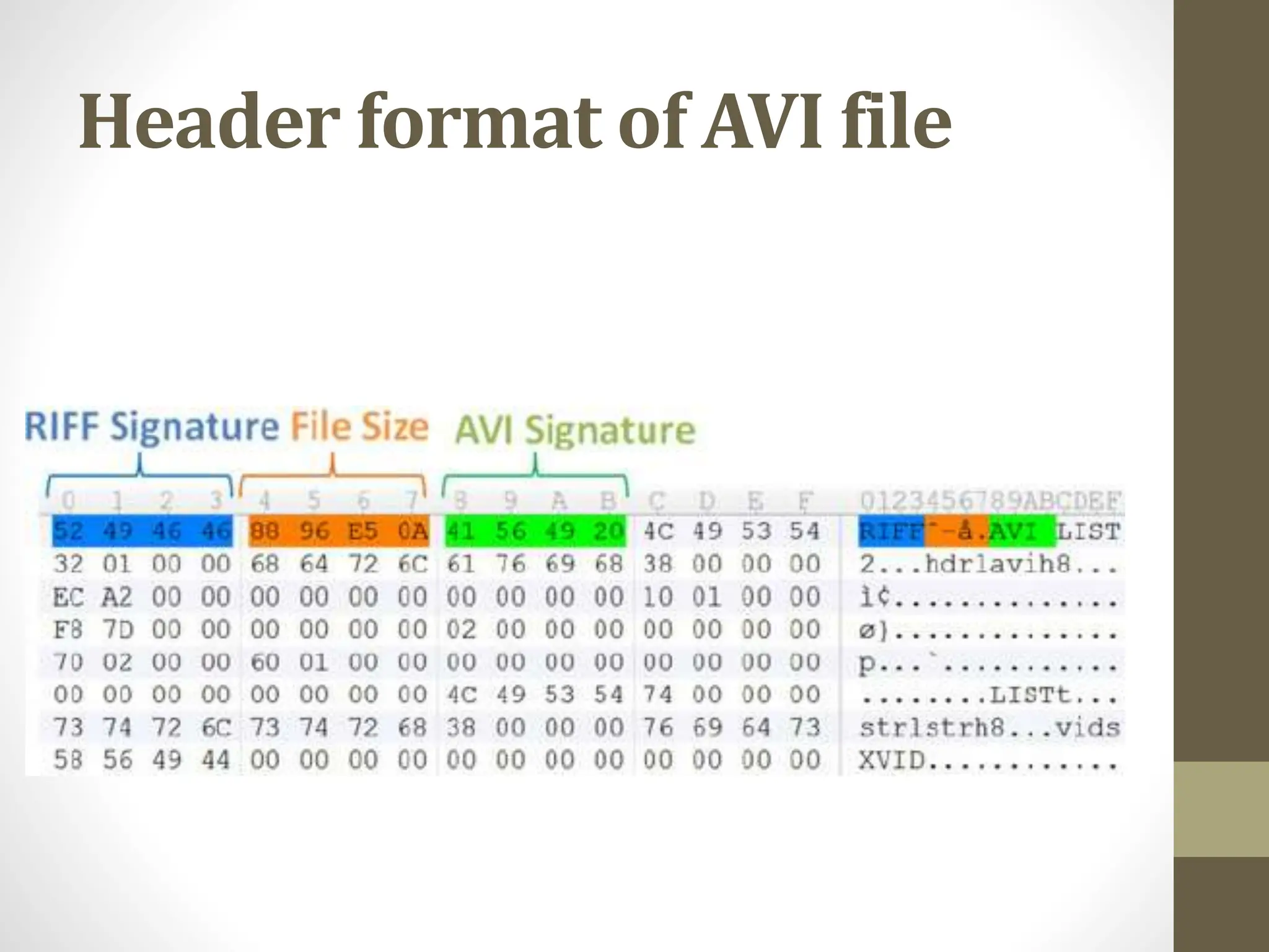 avi _file _formate_ trasport _layer.pptx