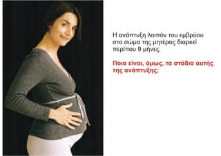 Η ανάπτυξη του εμβρύου | PPT