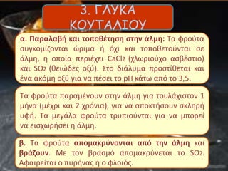 Επεξεργασία Φρούτων με ζάχαρη - Προϊόντα.pptx