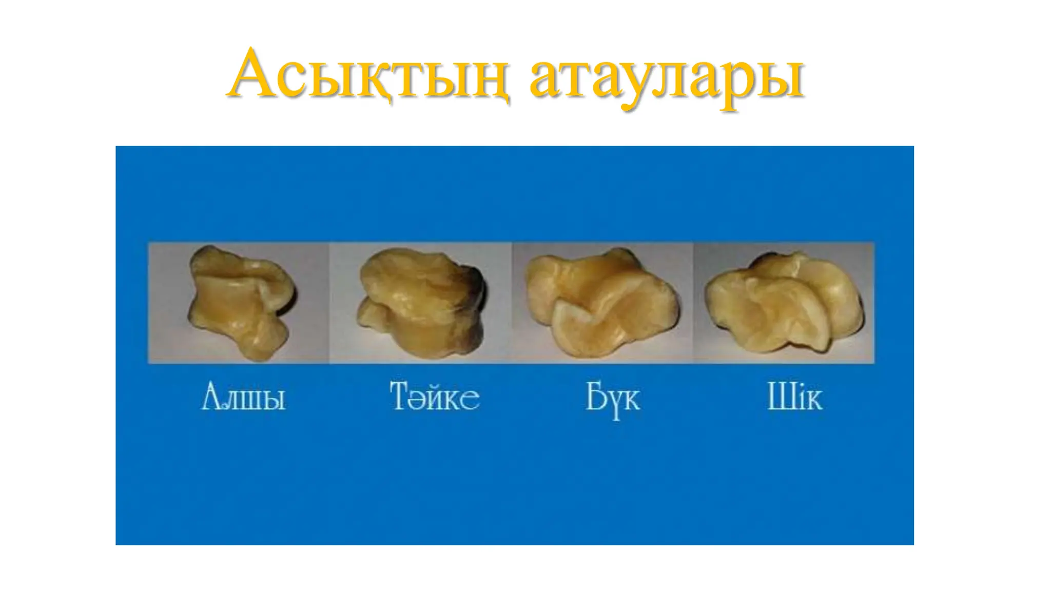 The Assyk Kazakh national game description | PPTX