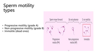 sperm analysis course for biology students.pptx