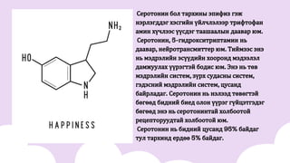 Серотонин буюу аз жаргалын даавар ХУЧадвар | PPT