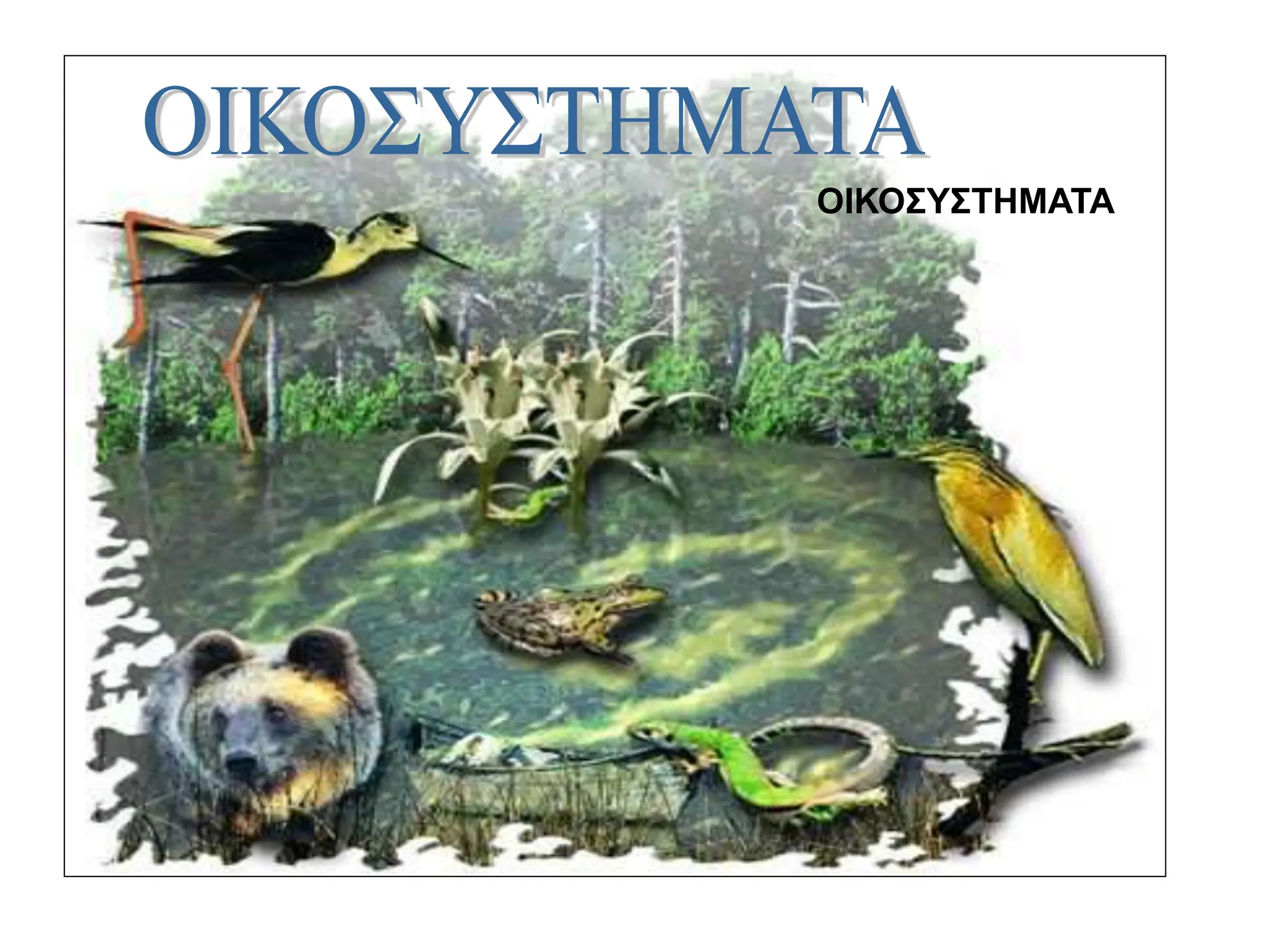 ΟΙΚΟΣΥΣΤΗΜΑΤΑ.ppt Γ Δ ΔΗΜΟΤΙΚΟΥ ΜΕΛΕΤΗΟΥ | PPT