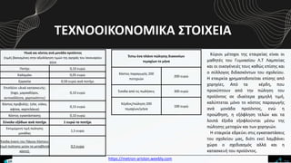 ΕΠΙΧΕΙΡΗΜΑΤΙΚΟ ΣΧΕΔΙΟ ΜΕΤΡΟΝ ΑΡΙΣΤΟΝ.pptx