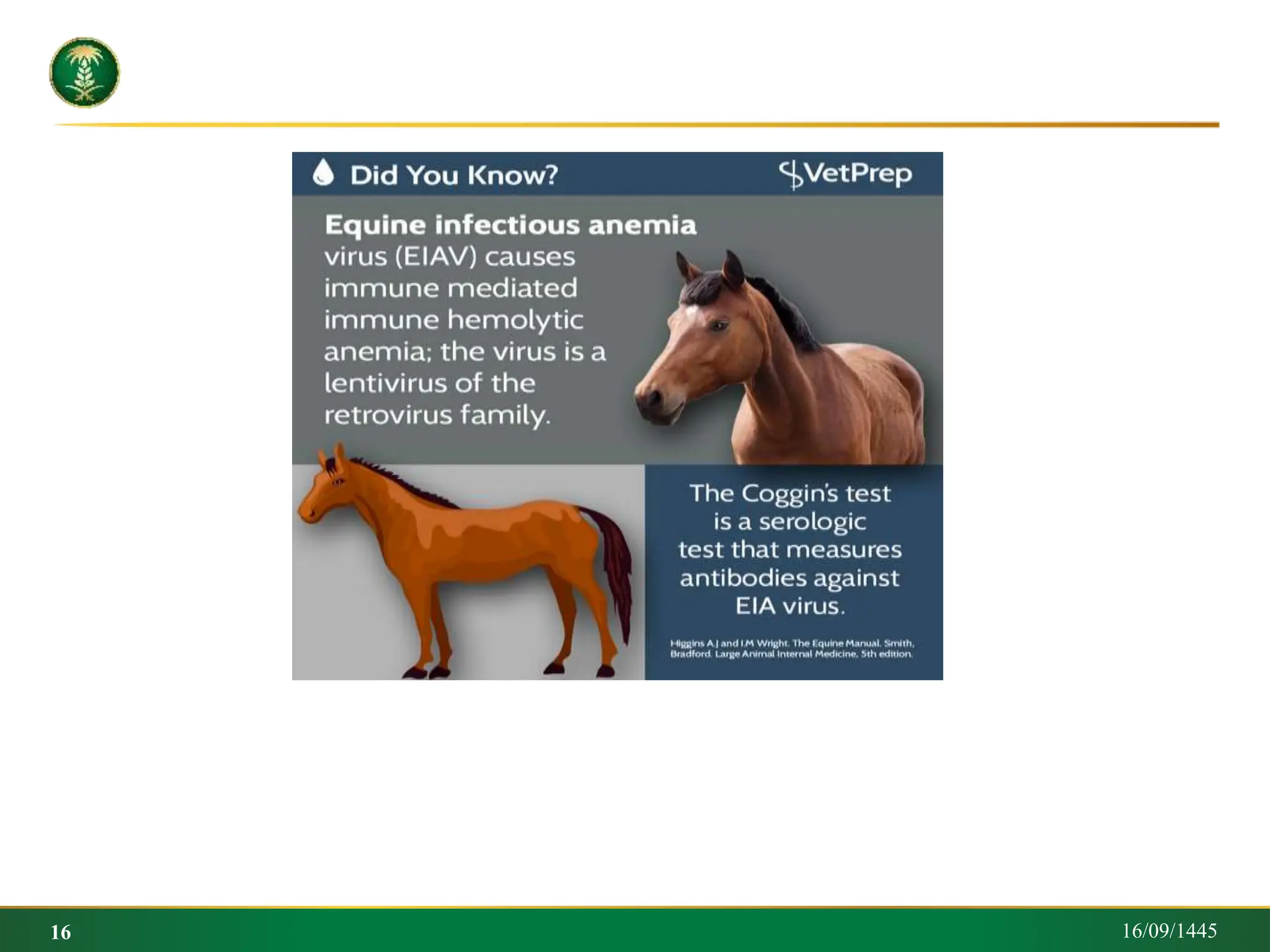 Equine disease risk assessment in KSA.pptx