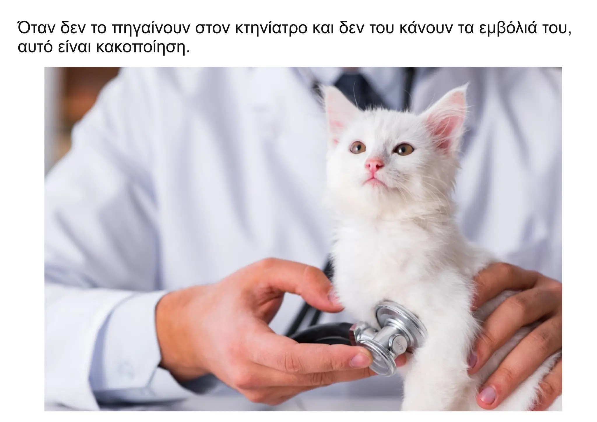 Πανελλήνια Σχολική Ημέρα Φιλοζωίας | PDF