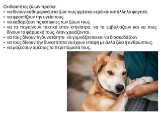 Πανελλήνια Σχολική Ημέρα Φιλοζωίας | PDF