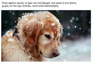 Πανελλήνια Σχολική Ημέρα Φιλοζωίας | PDF
